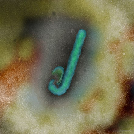 Restin Virus – Movies To History.com